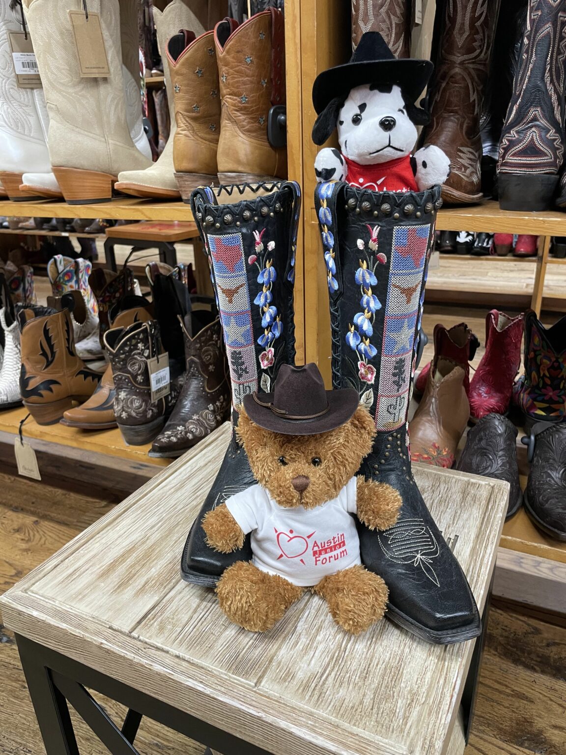 Teddy Bear Program – Austin Junior Forum